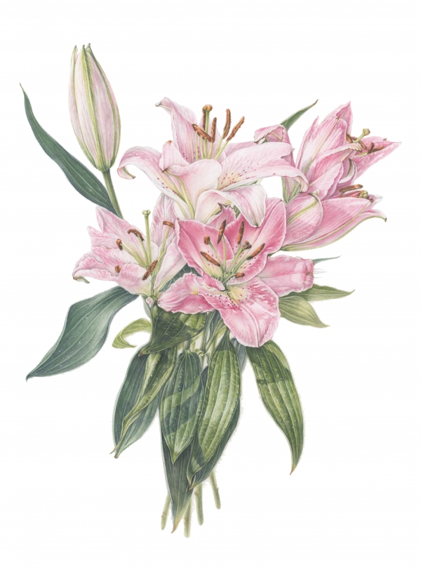 [보태니컬아트 랜선 전시] 2023년 IKBA 보태니컬 아트 교육협회 단체전 작품_1