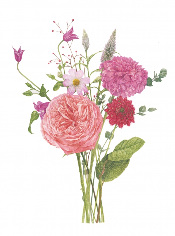 [보태니컬아트 랜선 전시] 2023년 IKBA 보태니컬 아트 교육협회 단체전 작품_1