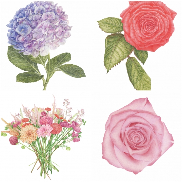 [보태니컬아트 랜선 전시] 2023년 IKBA 보태니컬 아트 교육협회 단체전 작품_3